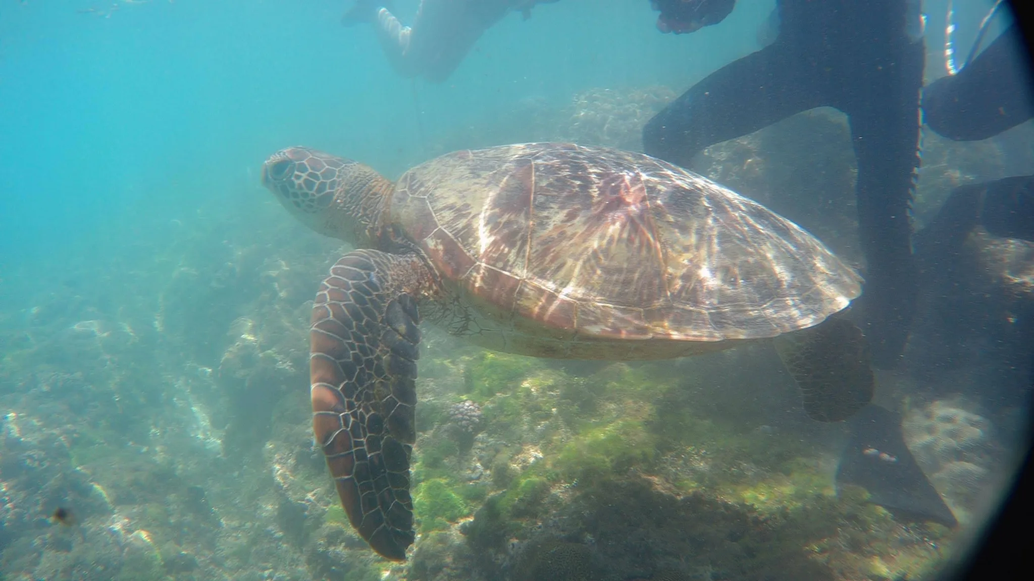 Xiaoliuqiu Snorkeling Guide 小琉球浮潛指南, The Best Places to Spot Sea ...